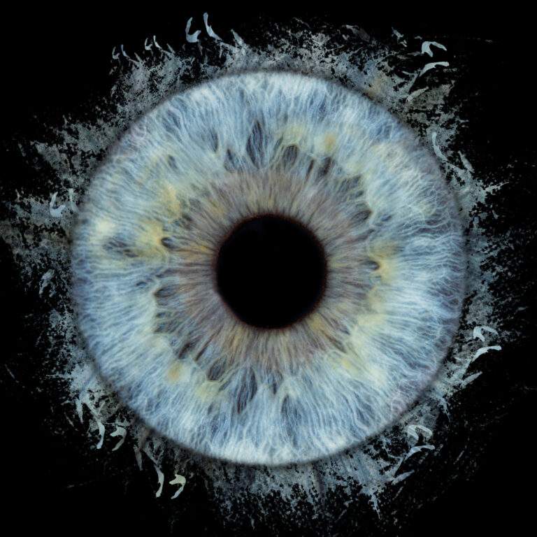 Iris Fotografie für die Regionen Augsburg und München